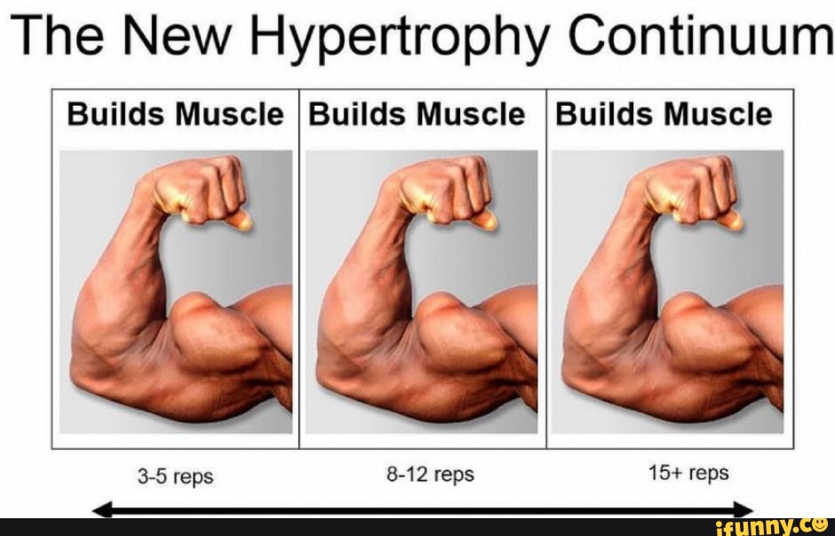 The New Hypertrophy Continuum Builds Muscle Builds Muscle Builds Muscle ...
