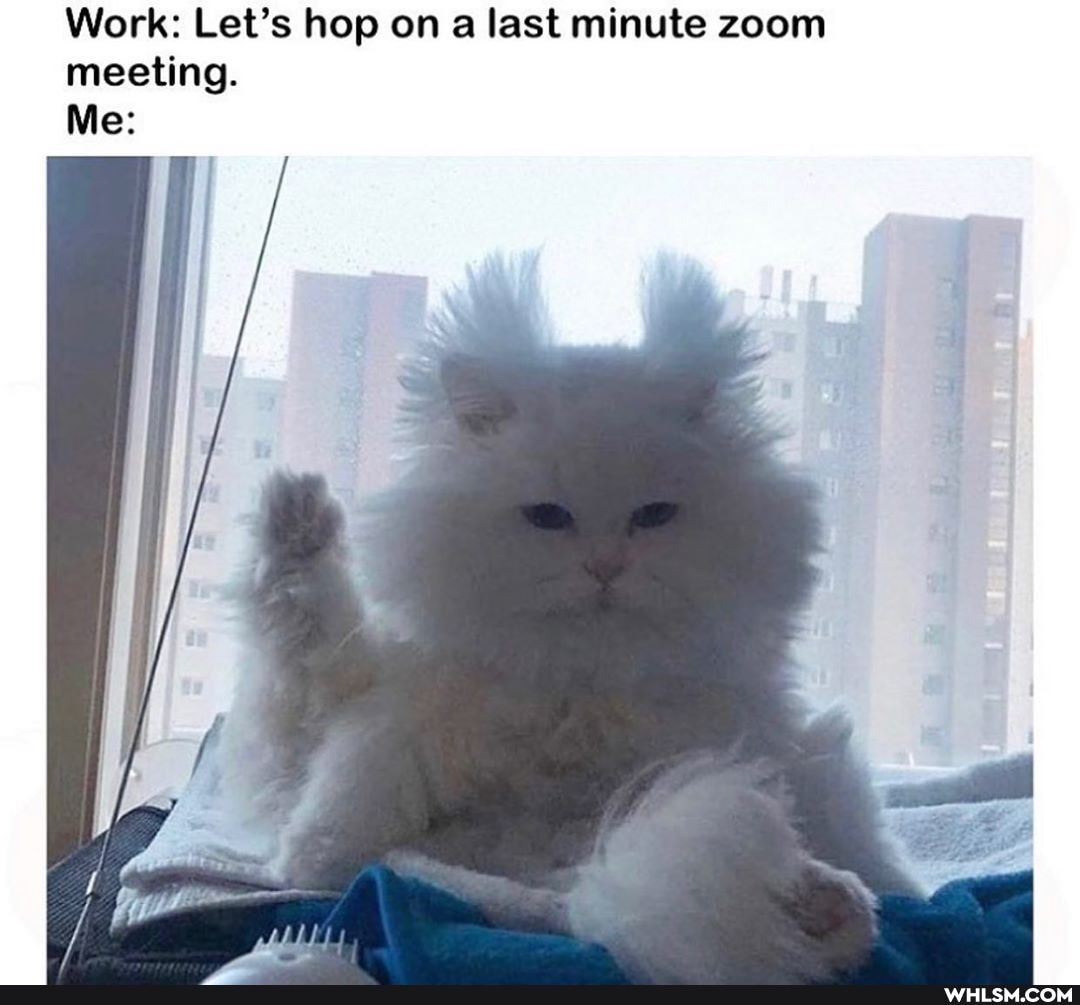 Work: Let's hop on a last minute zoom meeting. Me: - WHLSM Work: Let's hop on a last minute zoom meeting. Me: - WHLSM