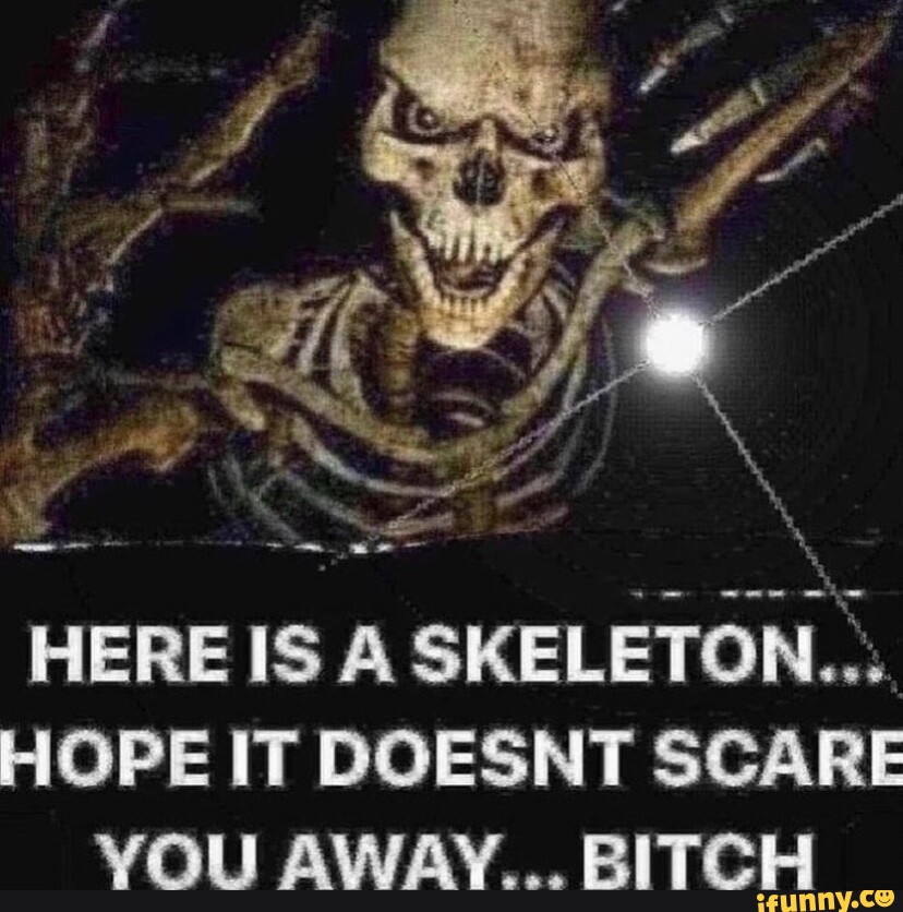HERE IS A SKELETON... HOPE IT DOESNT SCARE YOU AWAY... BITCH - iFunny