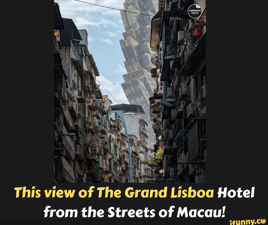 Macau memes. Best Collection of funny Macau pictures on iFunny