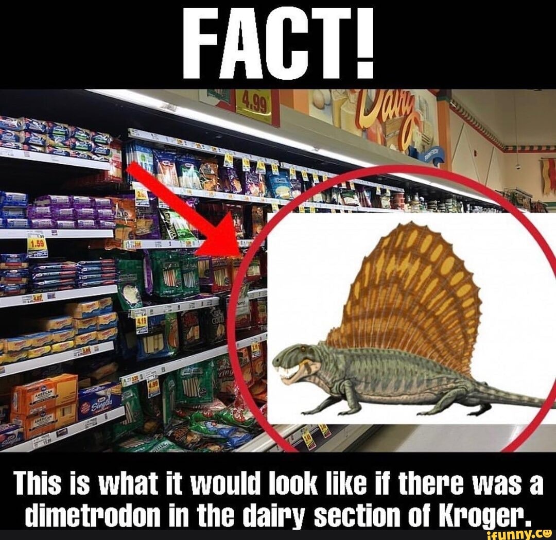 This is what it would look like if there was a dimetrodon in the dairy ...
