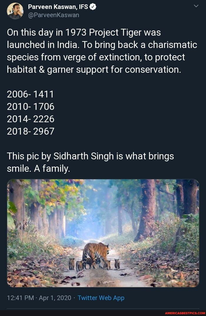 On this day in 1973 Project Tiger was launched in India. To bring back ...