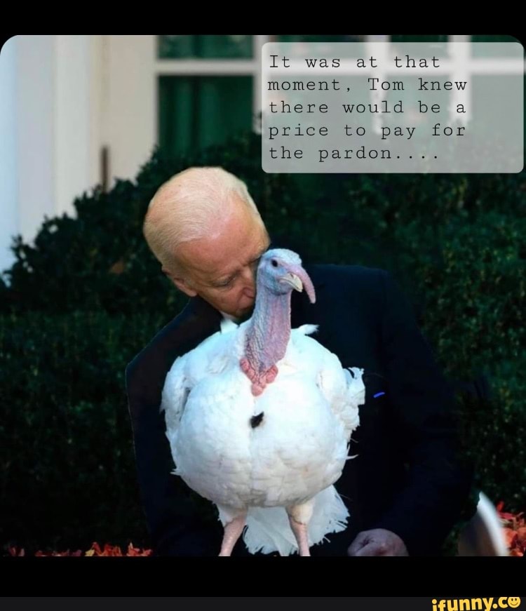 Turkey_day memes. Best Collection of funny Turkey_day pictures on iFunny