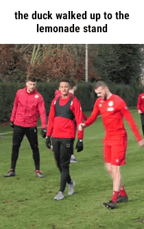 'the duck walked up to the lemonade stand - )