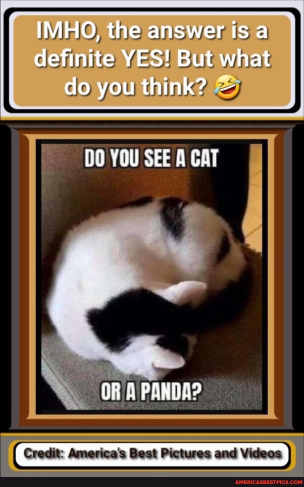 IMHO, the answer is a definite YES! But what do you think? DO YOU SEE A ...