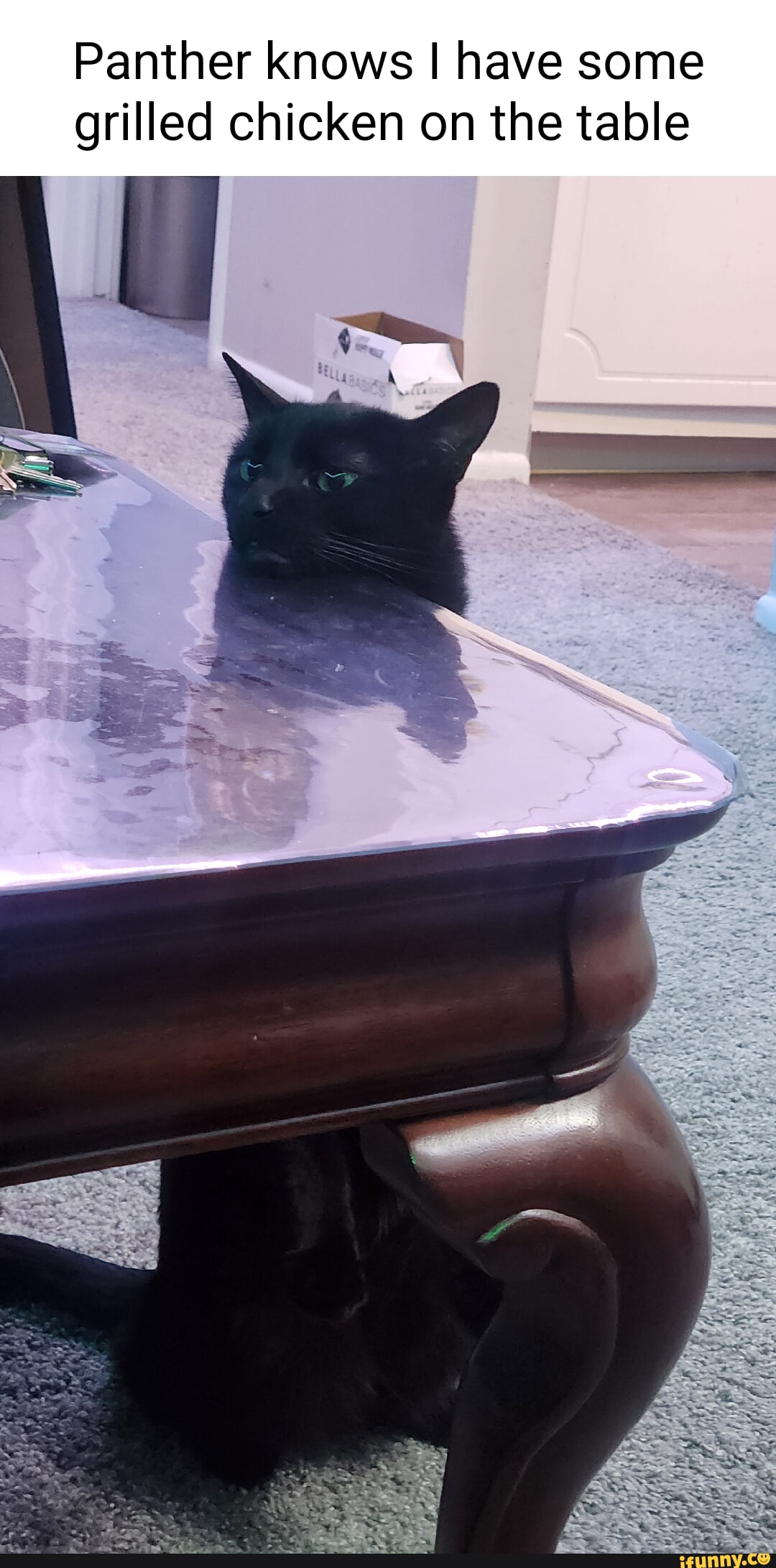 Why do these crows look like they're in the middle of a high-profile ...