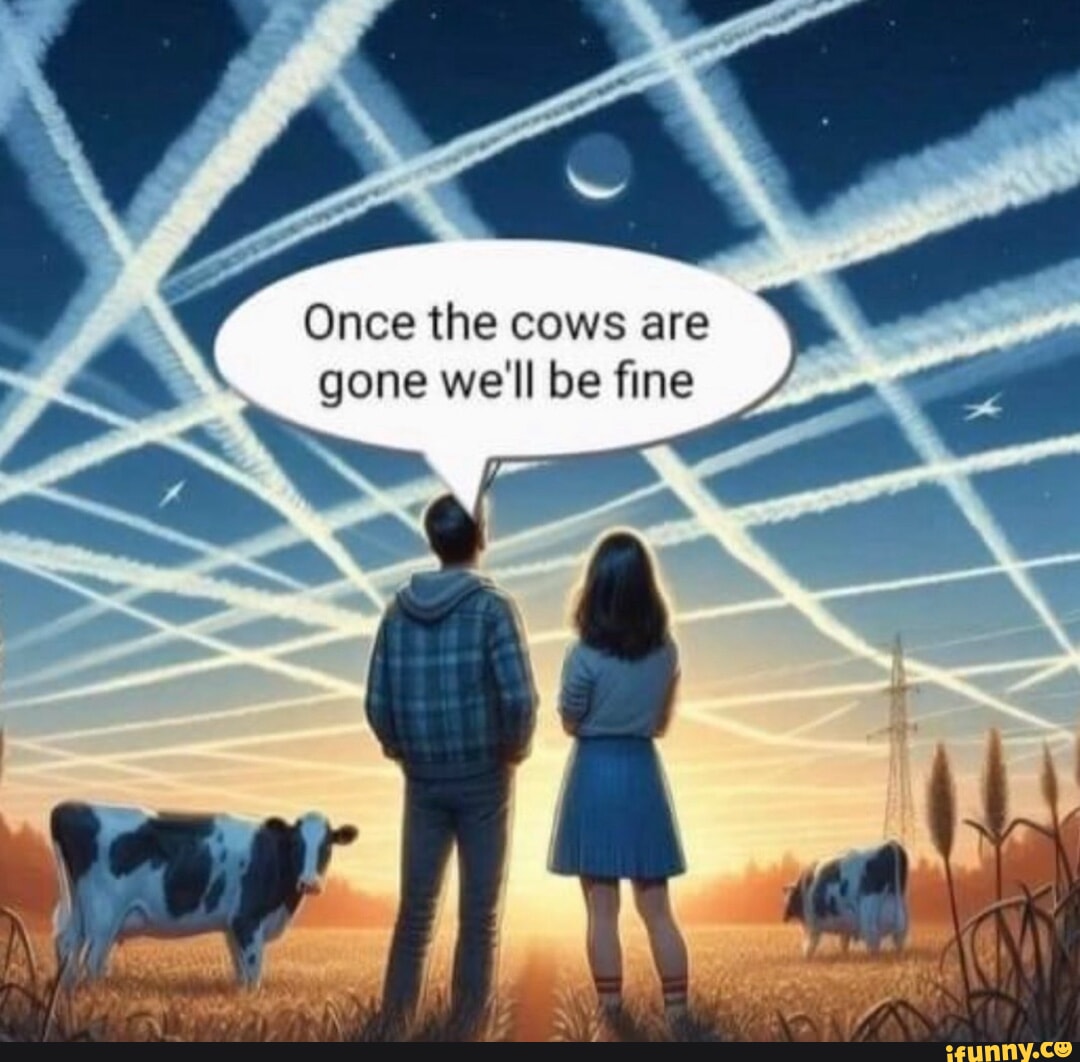 Once the cows are gone we'll be fine - iFunny