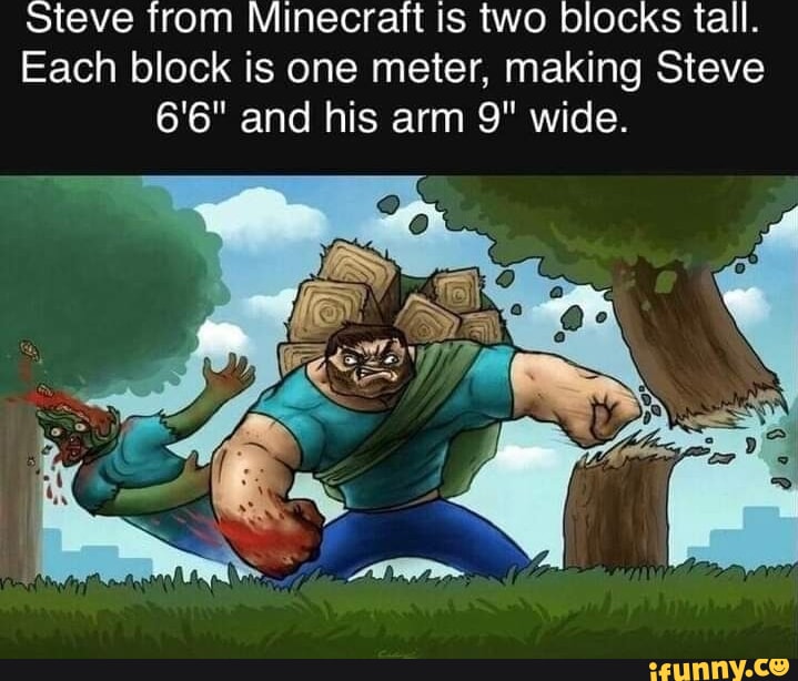 Steve from Minecraft is two blocks tall. Each block is one meter ...