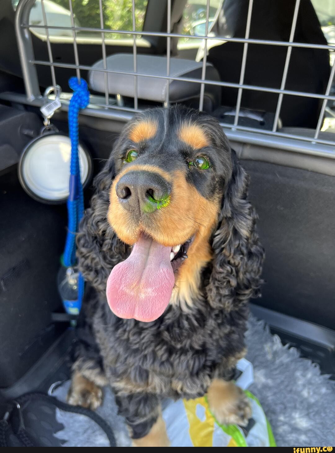 Conjunctivitis memes. Best Collection of funny Conjunctivitis pictures ...