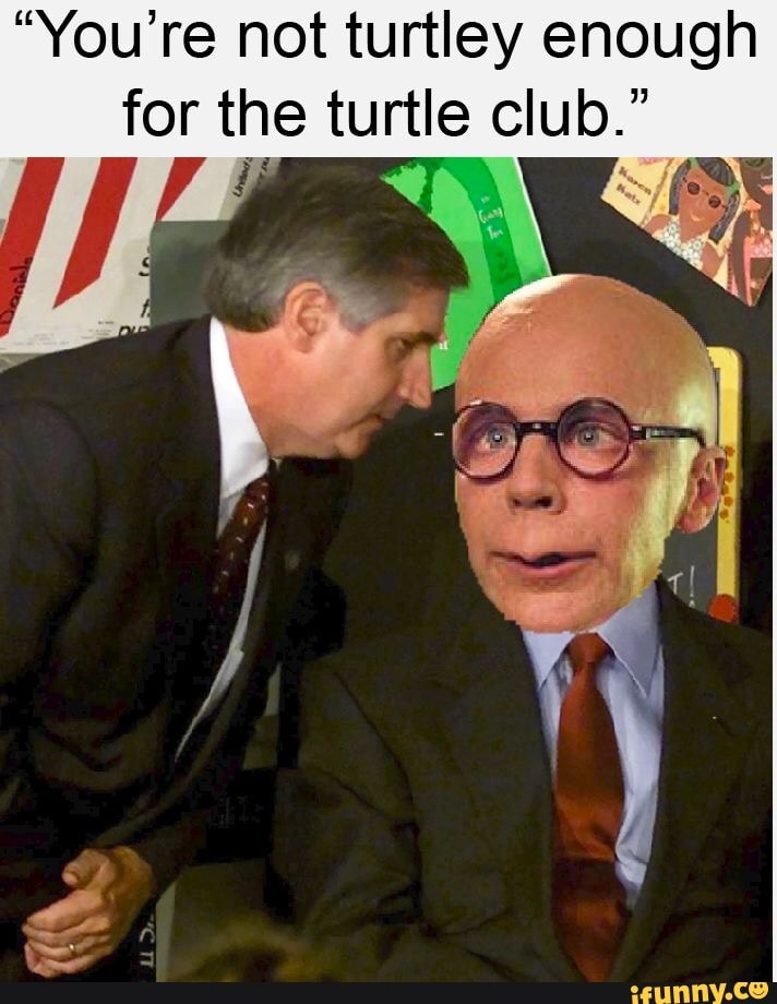 "You're not turtley enough for the turtle club. - iFunny