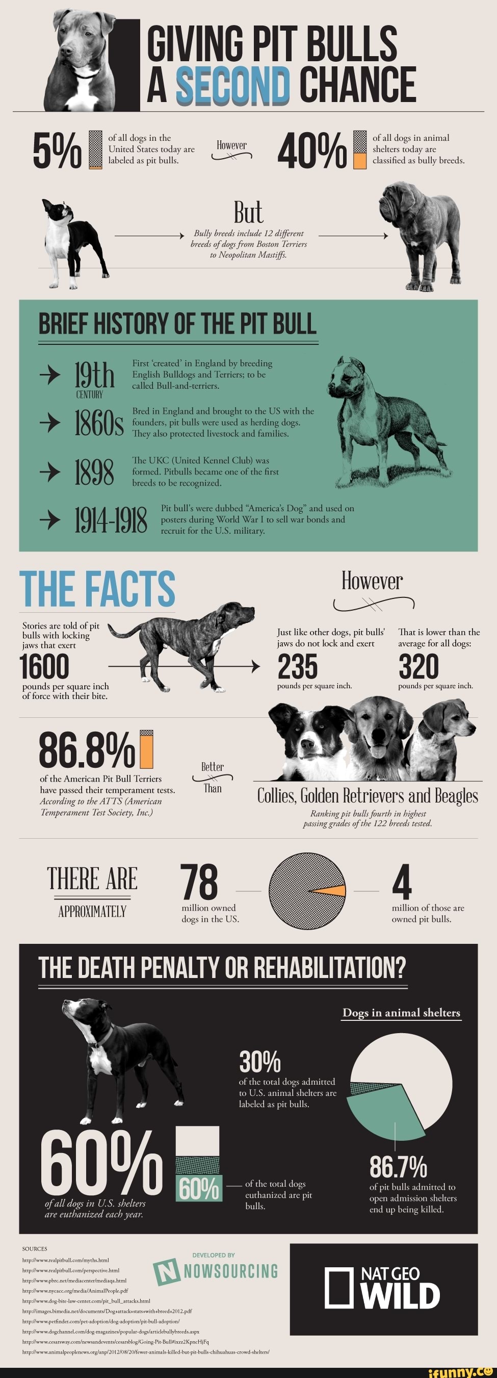GIVING PI_T BULLS A S ESL. CHANCE ' But BRIEF HISTORY OF THE PIT BULL ...