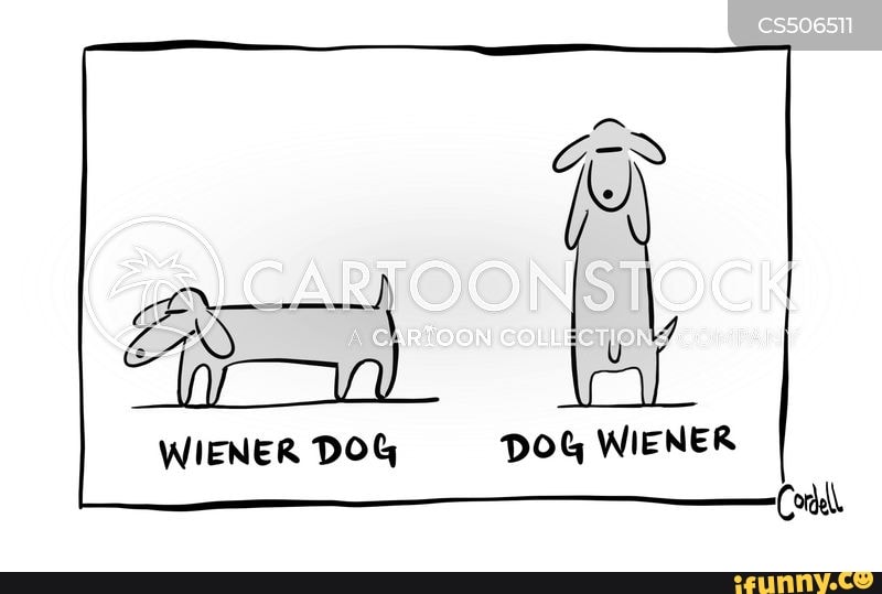 CARTOON CARTOON COLLE WIENER DOG DOG WIENER - iFunny