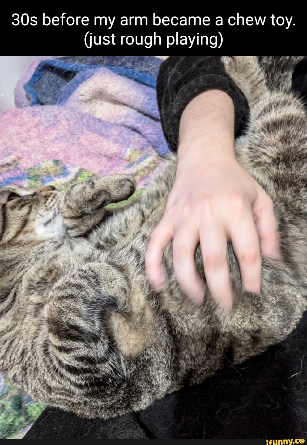 Before my arm became a chew toy. (just rough playing) - iFunny