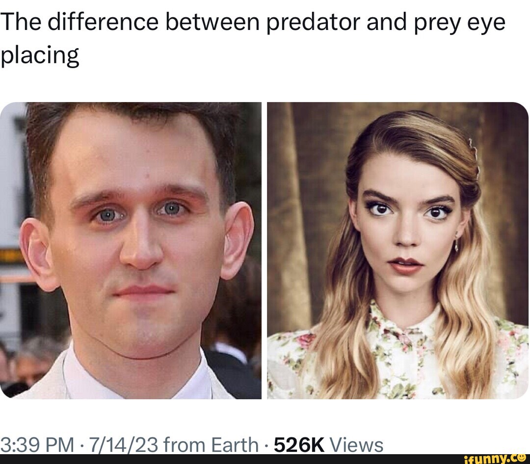 The difference between predator and prey eye placing PM - from Earth ...