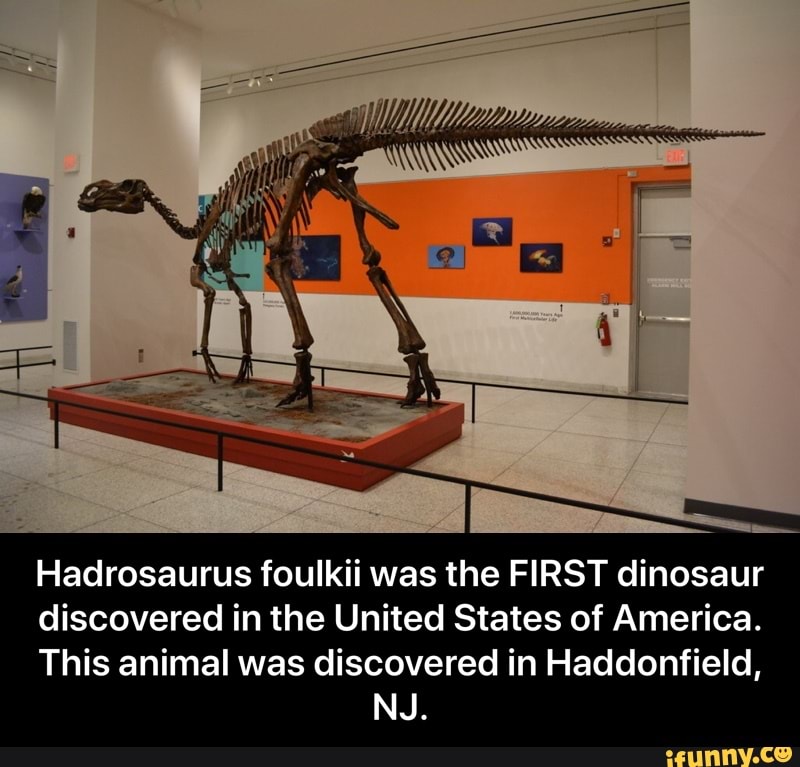 Hadrosaurus foulkii was the FIRST dinosaur discovered in the United ...