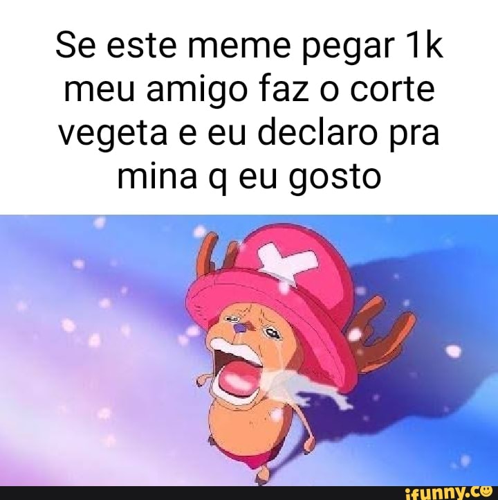 Se este meme pegar meu amigo faz o corte vegeta e eu declaro pra mina ...