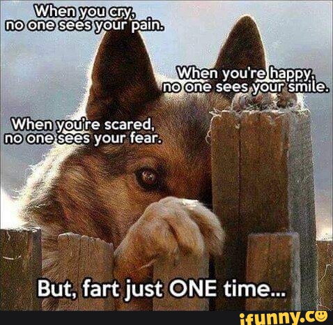 Ho one Pains When you scared, But, fart just ONE time... - iFunny