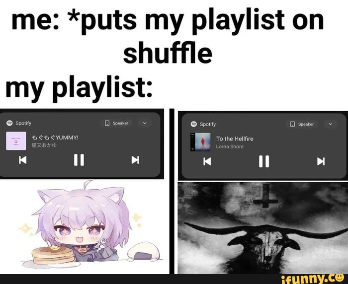 Me: *puts my playlist on shuffle my playlist: - iFunny