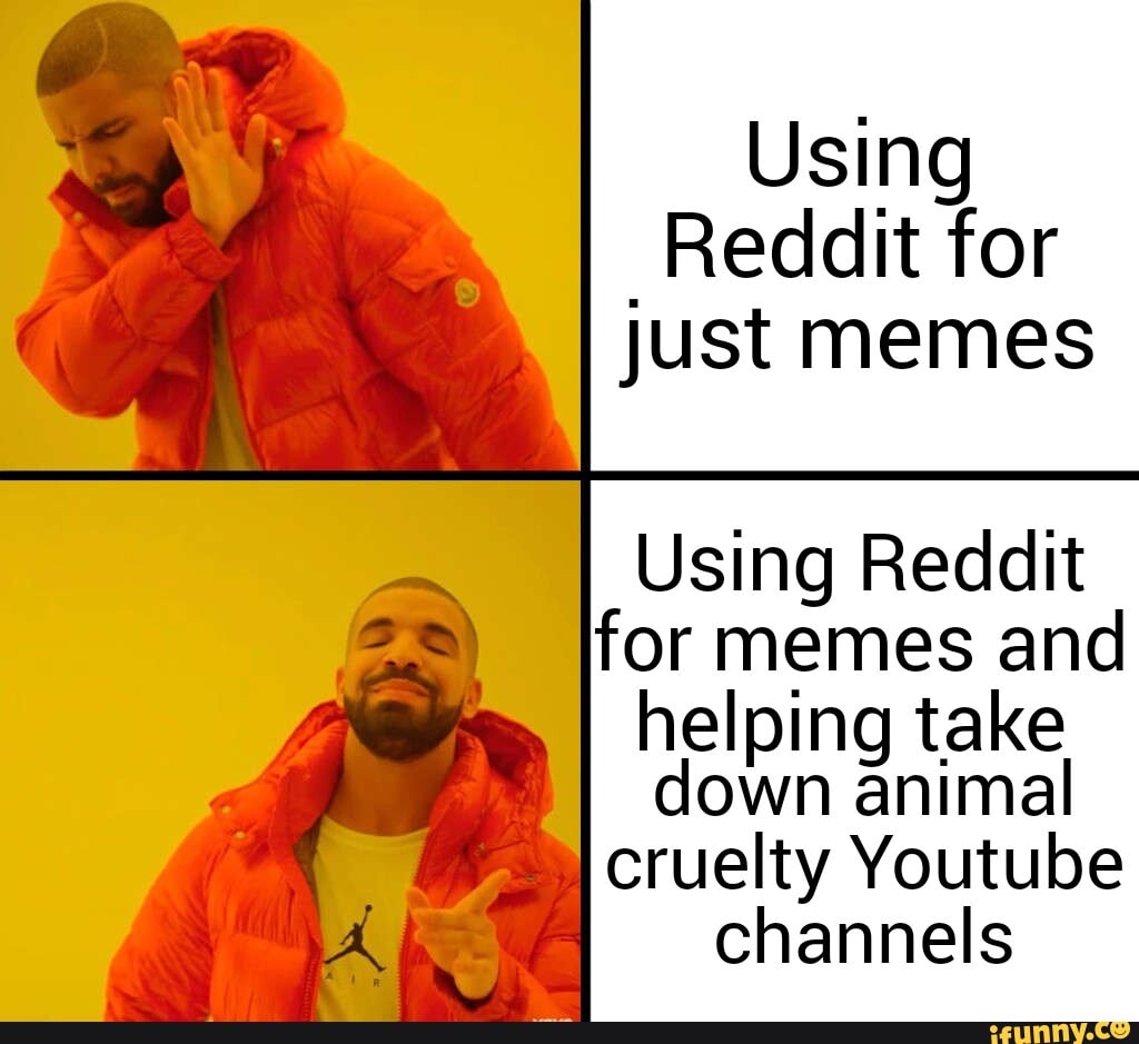 Using Reddit for just memes Using Reddit for memes and helping take ...