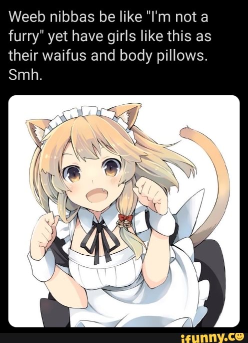 Weeb nibbas be like "I'm not a furry" yet have girls like this as their ...