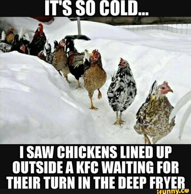 ITS 30 COLD... SAW CHICKENS LINED UP OUTSIDE A KFC WAITING FOR THEIR ...
