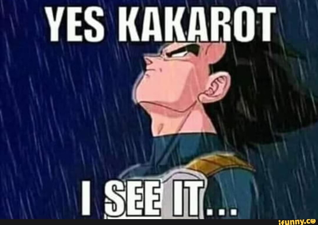 YES KAKAROT I SEE IT... - iFunny