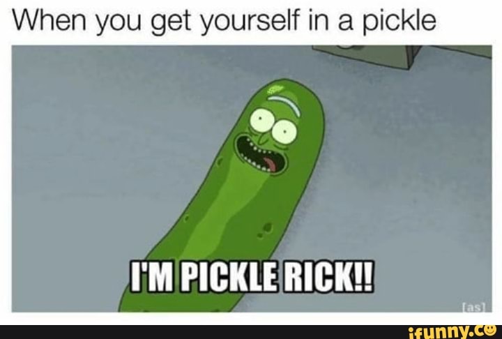 When you get yourself in a pickle I'M PIGKlE BIBI"! - iFunny