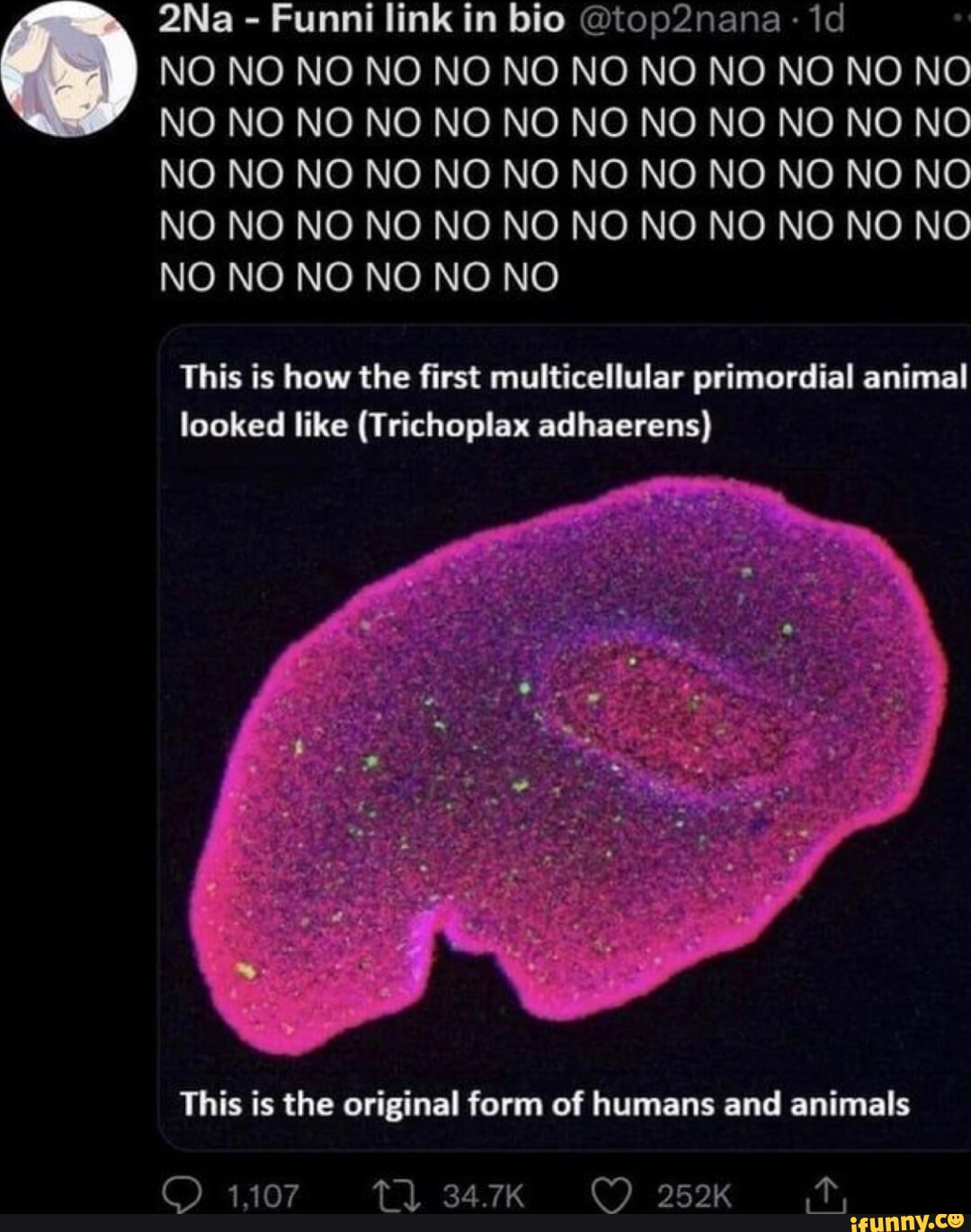 Primordial memes. Best Collection of funny Primordial pictures on iFunny