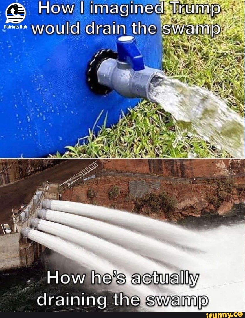 How Iimagimed? Tramp dramn the swamp How ne actually - iFunny