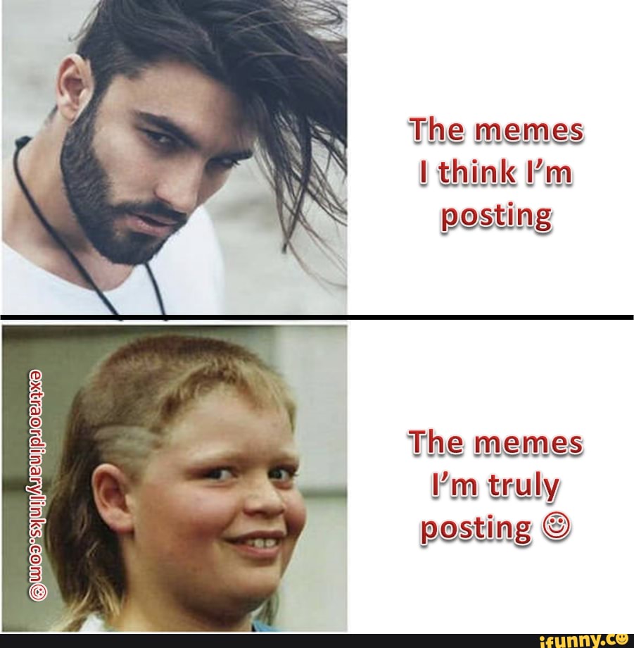 The memes posting the memes truly posting - iFunny