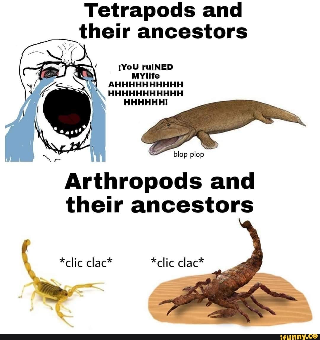 Tetrapods and their ancestors iYoU ruiNED MYlife AHHHHHHHHHH blop plop ...