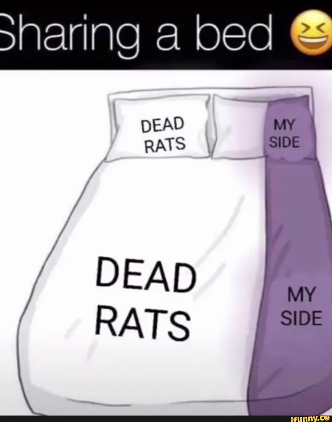 Snaring a bed DEAD RATS y DEAD RATS - iFunny