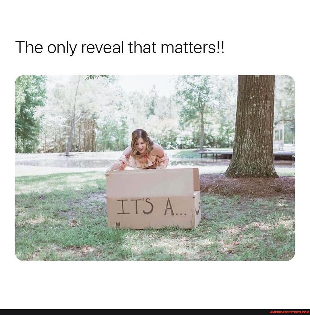 Best reveal I’ve ever seen (@photographedbycarlyeallen) - The only ...