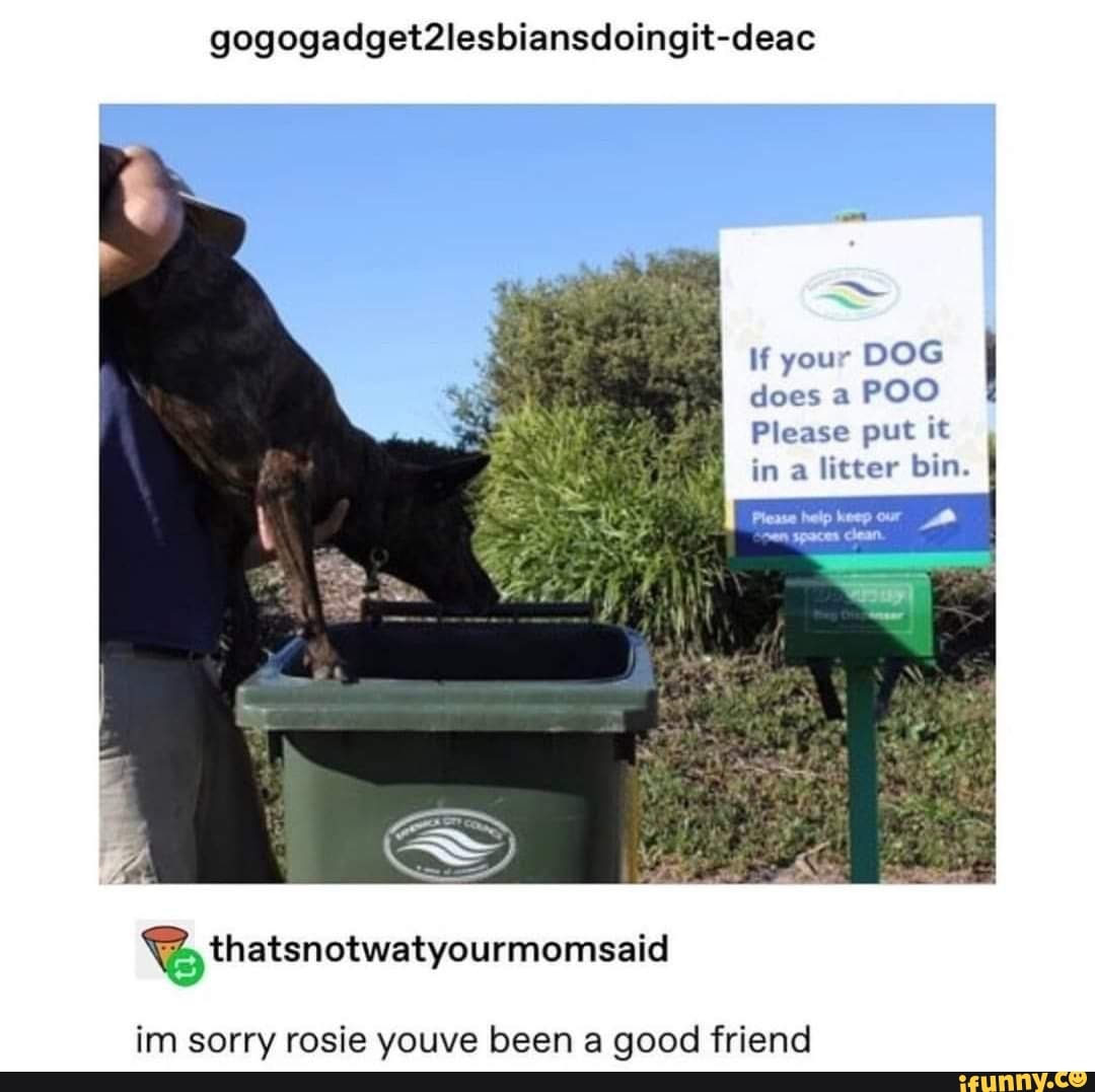 GogogadgetZlesbiansdoingit-deac If DOG im sorry rosie youve been a good ...