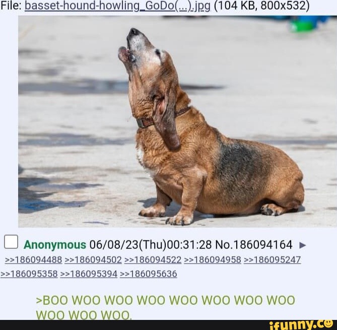 Hound memes. Best Collection of funny Hound pictures on iFunny