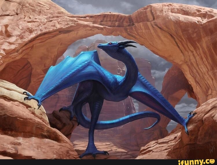Wyvern memes. Best Collection of funny Wyvern pictures on iFunny