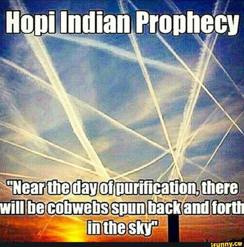 Cobwebs memes. Best Collection of funny Cobwebs pictures on iFunny