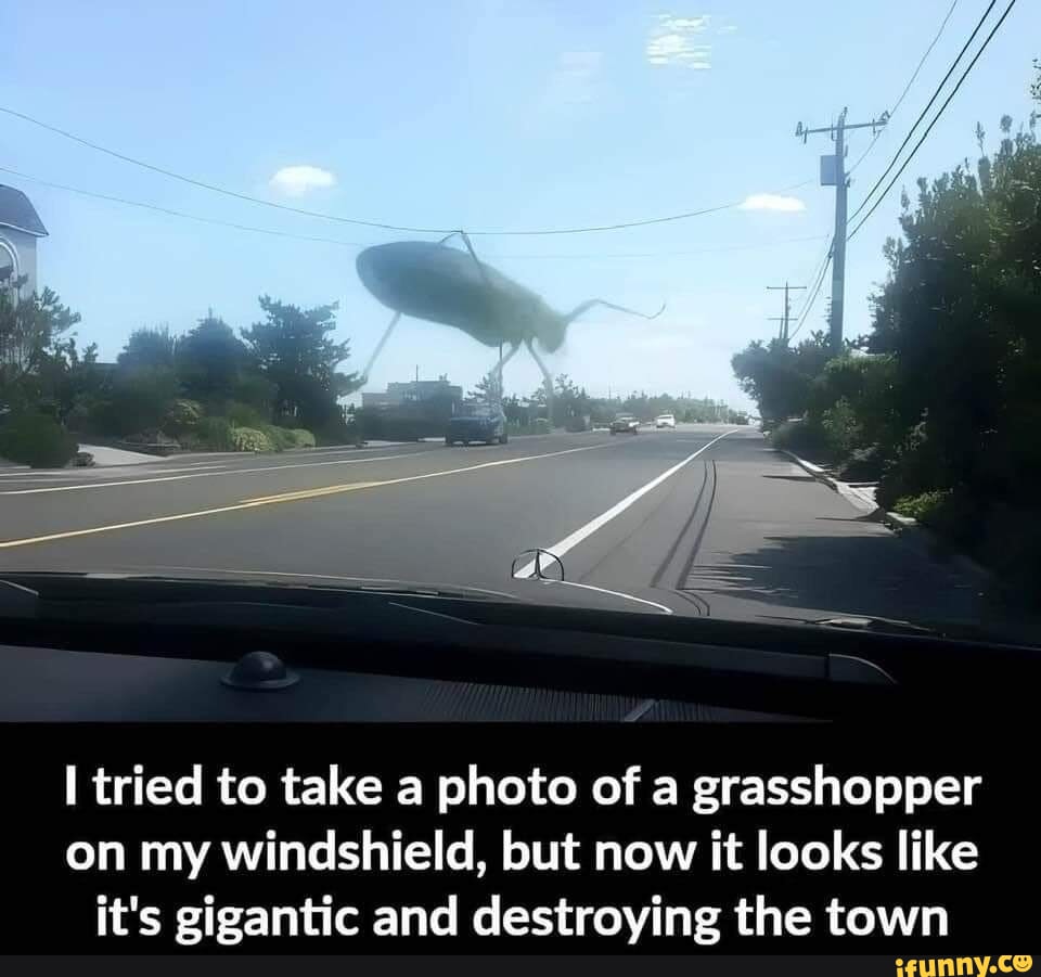 Grasshopper memes. Best Collection of funny Grasshopper pictures on iFunny