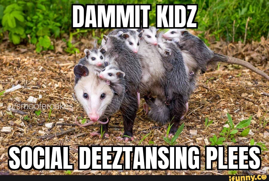 Bakc memes. Best Collection of funny Bakc pictures on iFunny