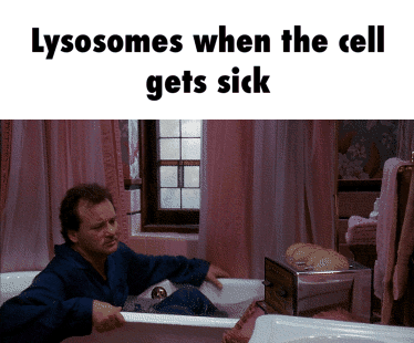Lysosomes memes. Best Collection of funny Lysosomes pictures on iFunny