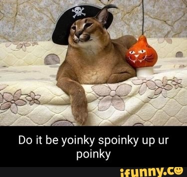 Do it be yoinky spoinky up ur poinky - iFunny