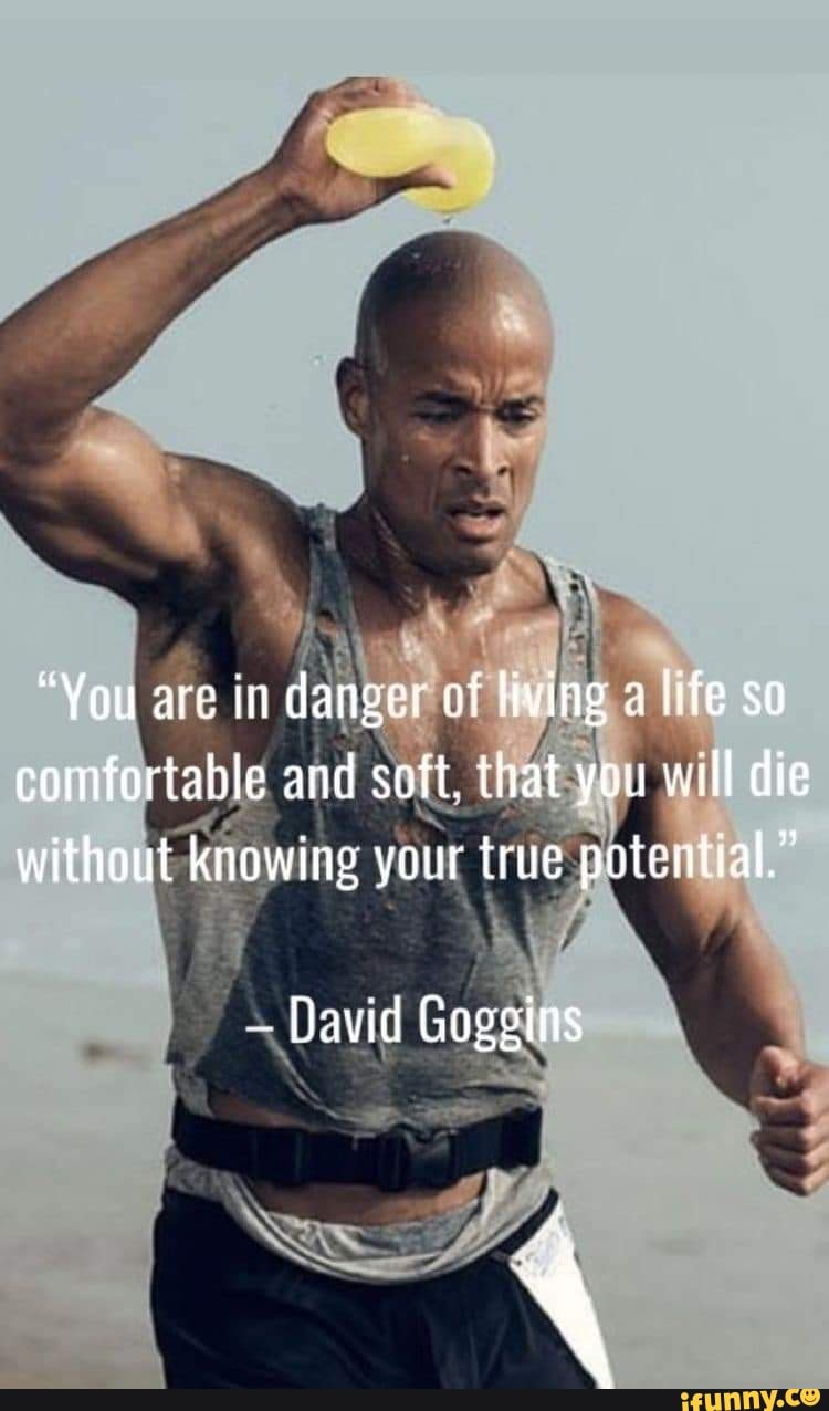 David Goggins Memes Best Collection Of Funny David Go - vrogue.co