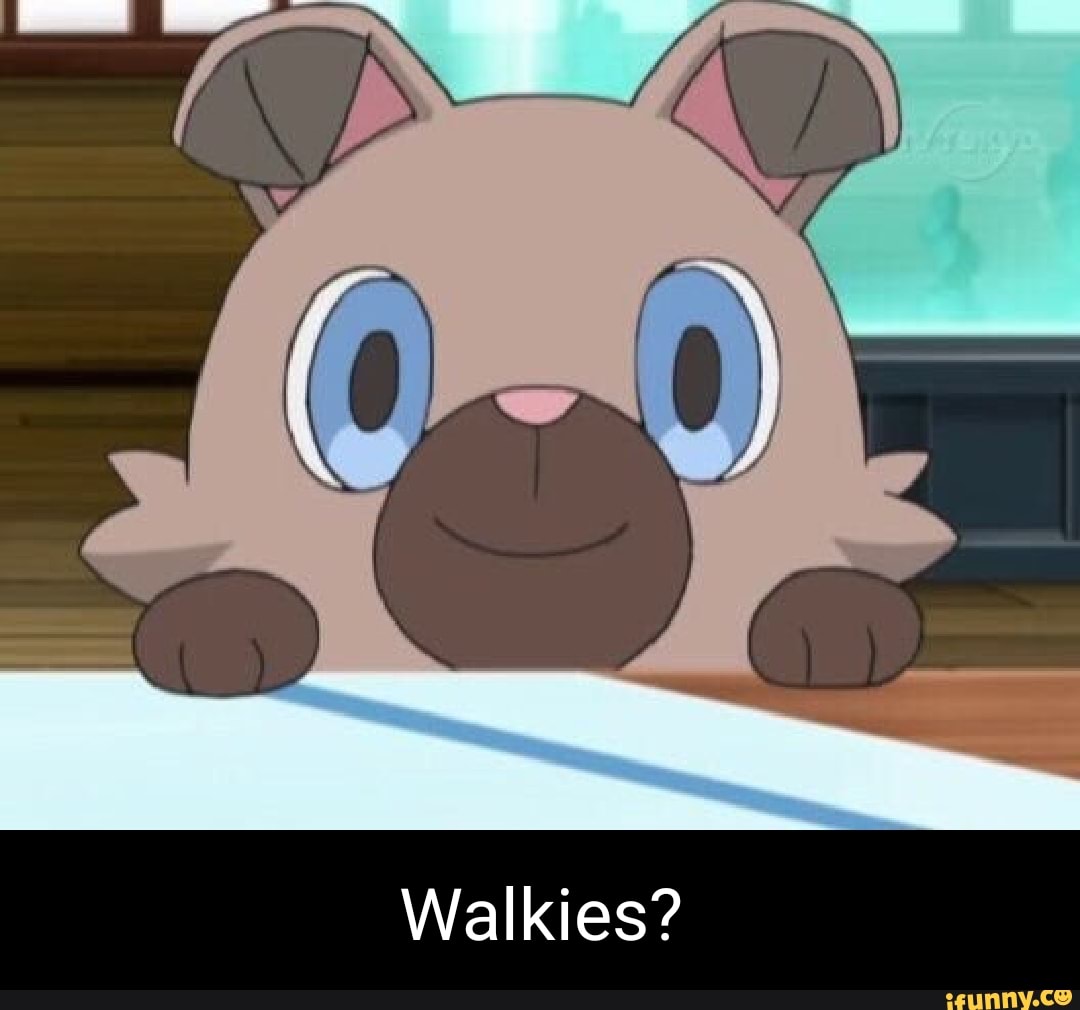 Rockruff memes. Best Collection of funny Rockruff pictures on iFunny