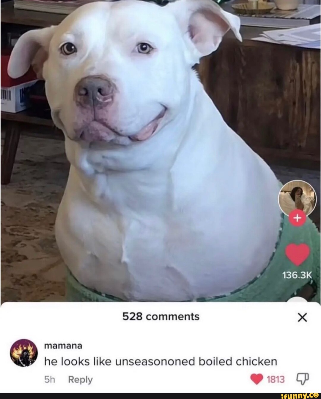 528 comments Manana he looks like unseasononed boiled chicken Sh Reply ...