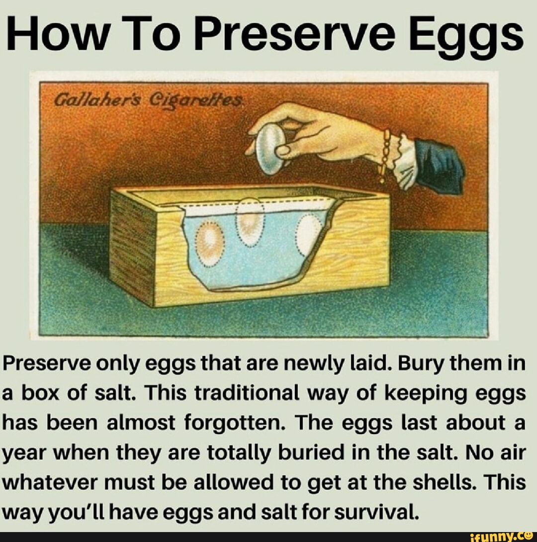 Bury memes. Best Collection of funny Bury pictures on iFunny