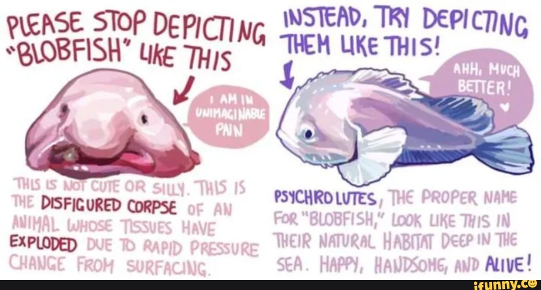 EASE STOP DEPICT UKE THIs NG INSTEAD, TRY THIS! ICING *GUOBFISHY ie ...