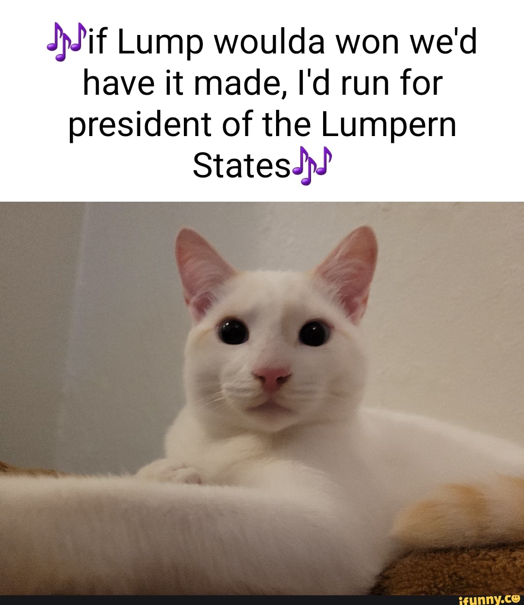 }if Lump woulda won we'd have it made, I'd run for president of the ...