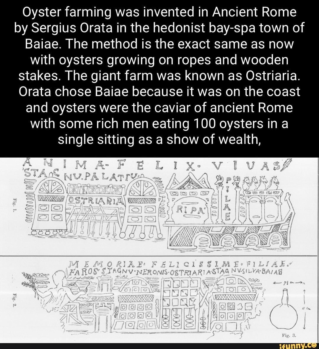 Oyster farming was invented in Ancient Rome by Sergius Orata in the ...
