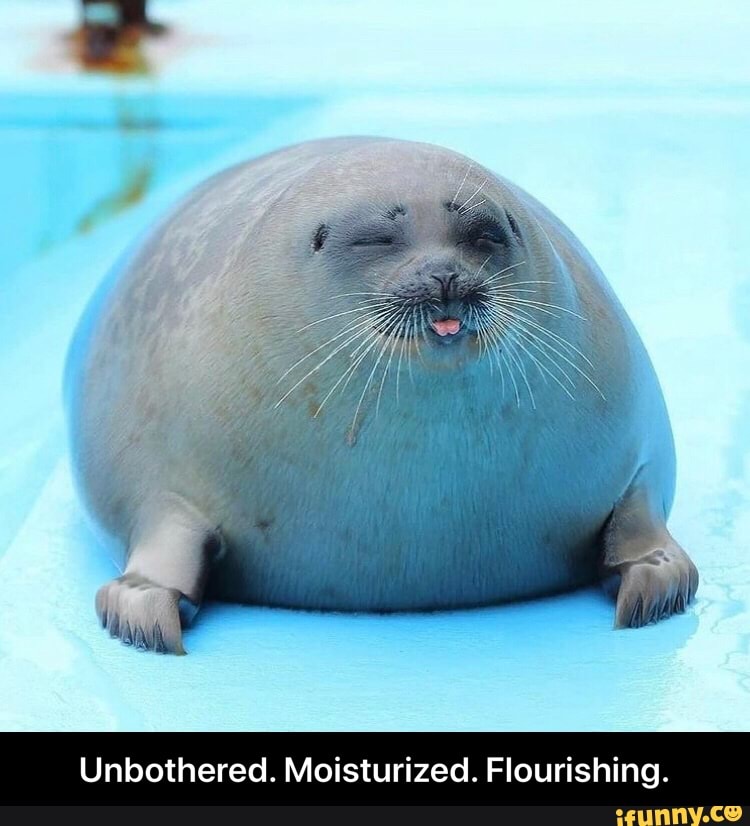 Unbothered. Moisturized. Flourishing. - Unbothered. Moisturized ...