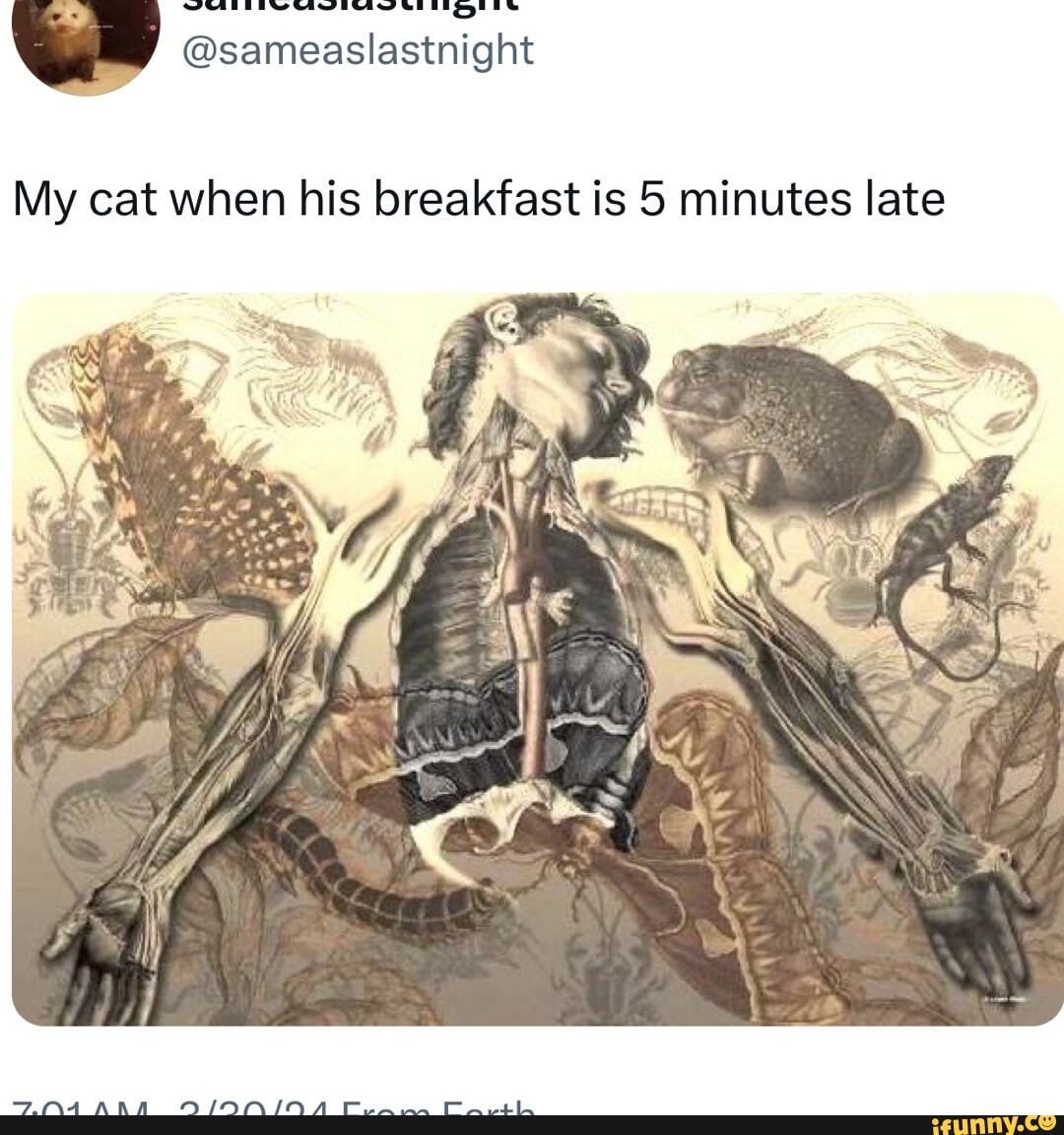 Video memes hk8ywF7o8 by become_offended2: 2.1K comments - iFunny